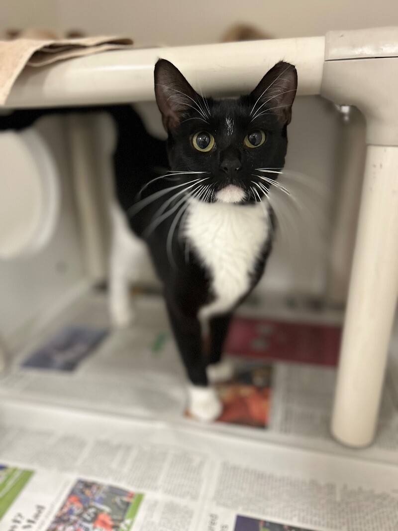 Home [www.daviscountyutah.gov]