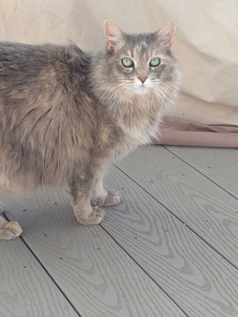 Home [www.daviscountyutah.gov]