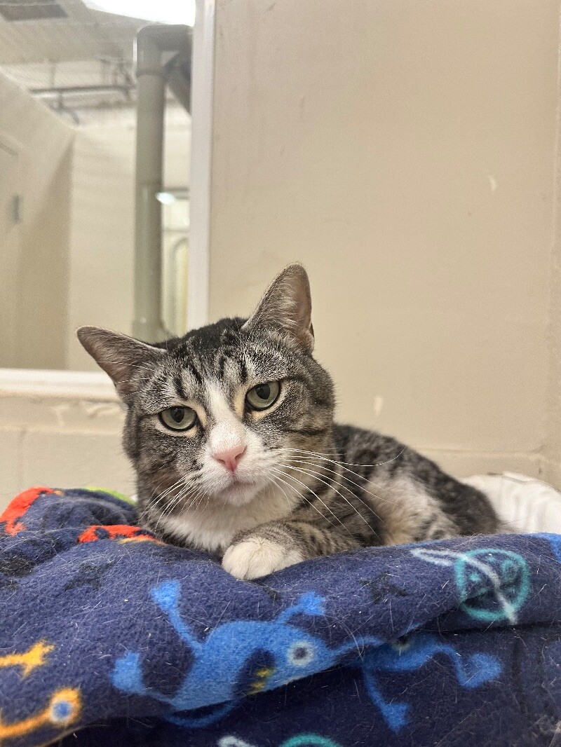 Home [www.daviscountyutah.gov]